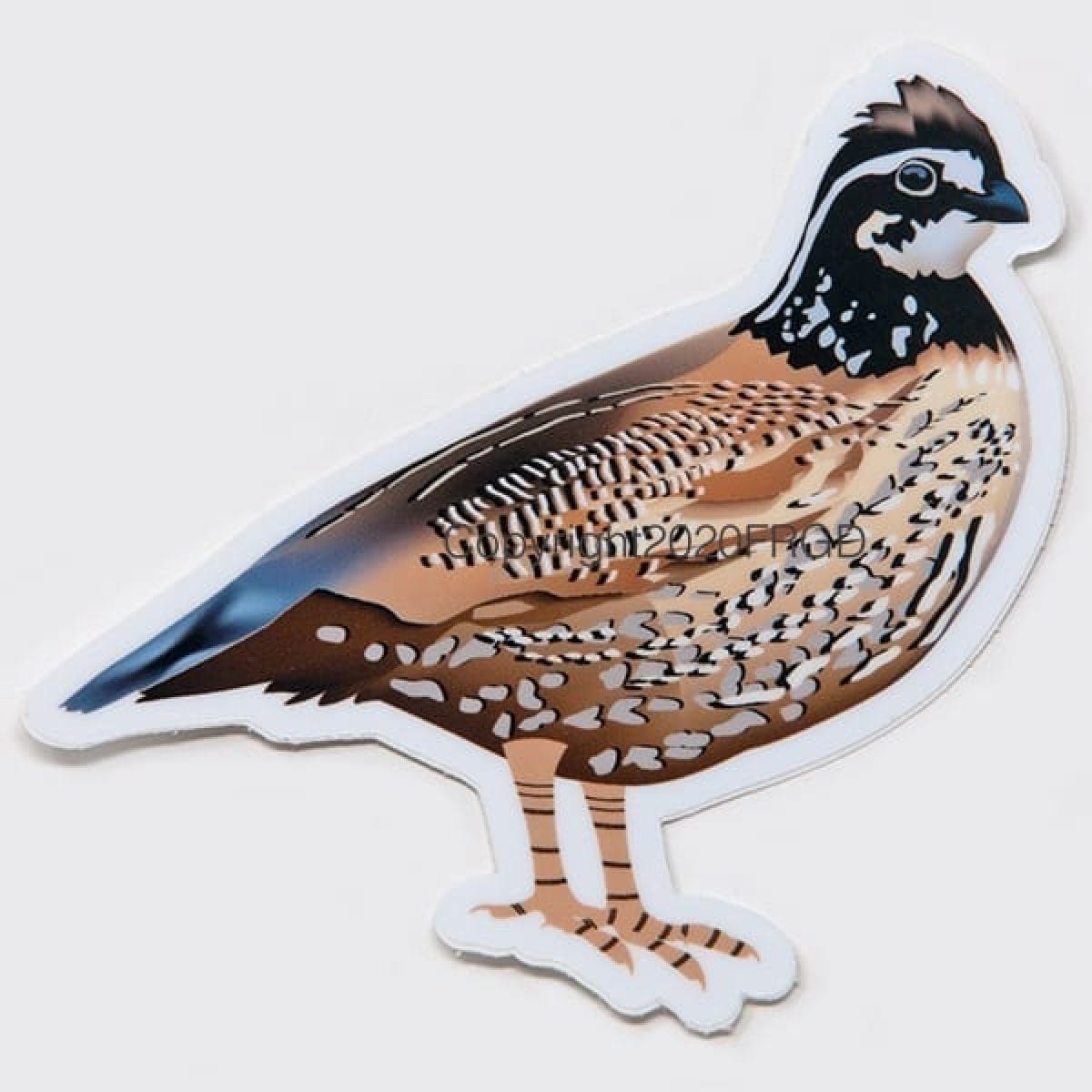 Bobwhite Quail Range