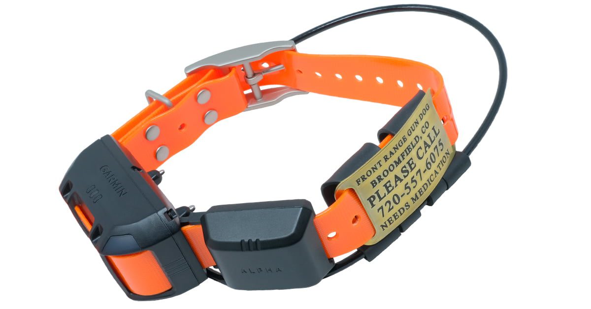 Garmin Alpha TT 25 Mini Dog Collar - Front Range Gun Dog